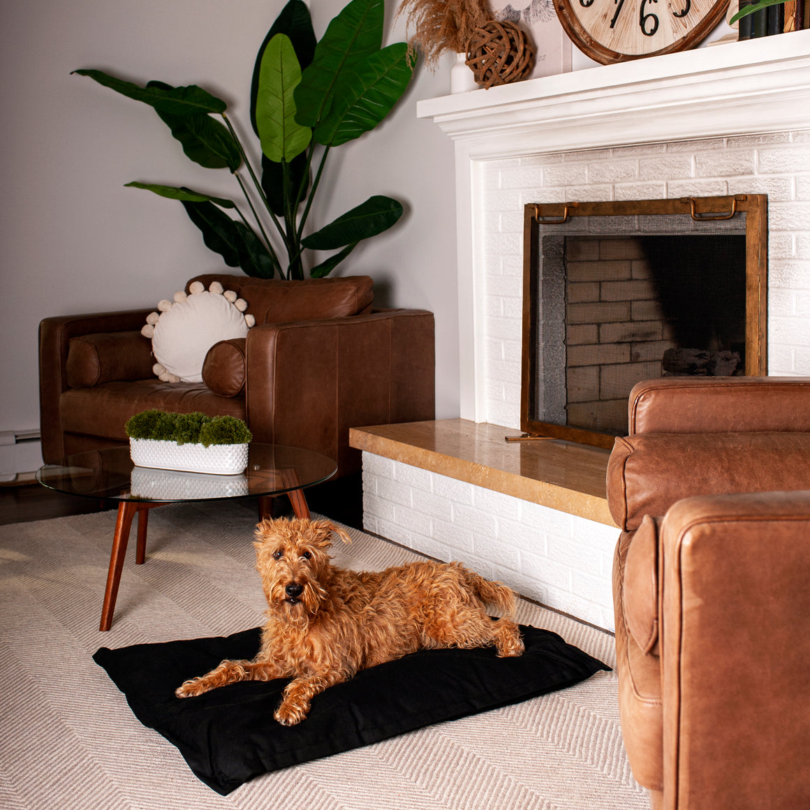 Wool Pet Bed | Frankenmuth Woolen Mill